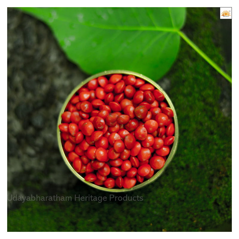 Golden Uruli with Red Lucky Seeds (Manjaadi) 3inch